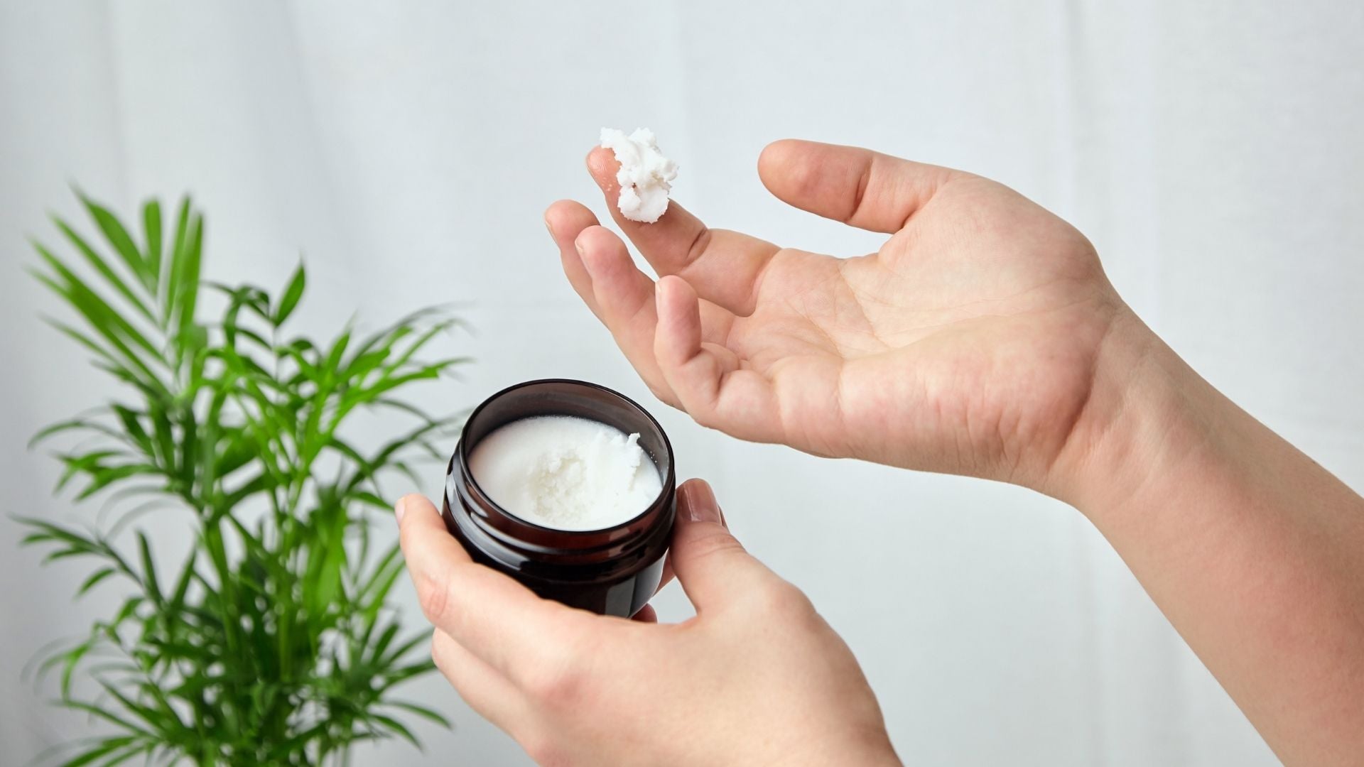 Shea Butter: Origin, Properties & Benefits